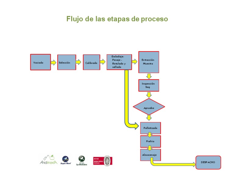 Flujo Etapas Del Proceso | PDF