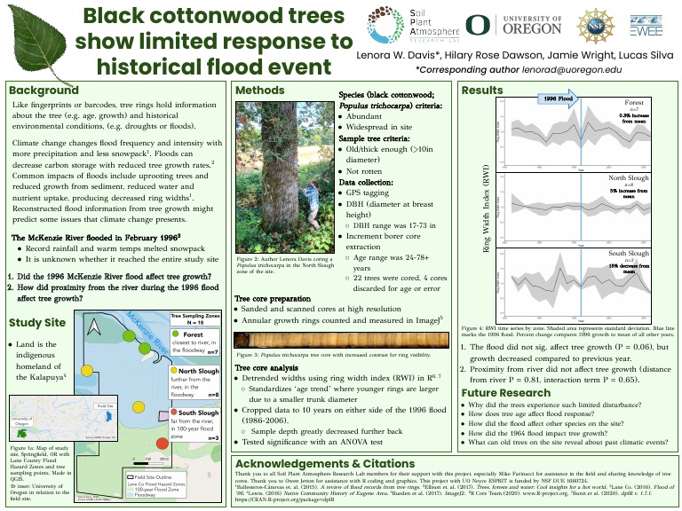 Lenora Davis Esprit Poster Final | PDF | Flood | Trees