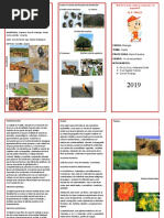 Triptico de Paris | PDF