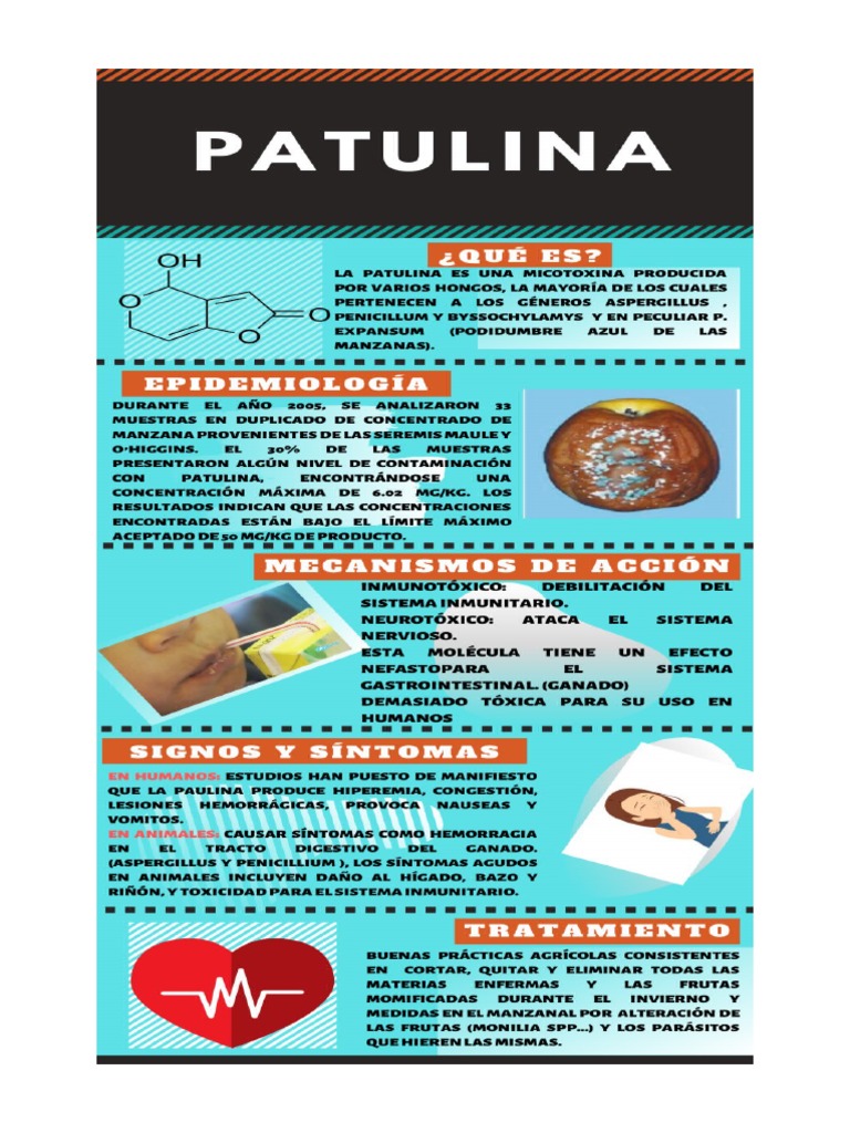 PATULINA | PDF