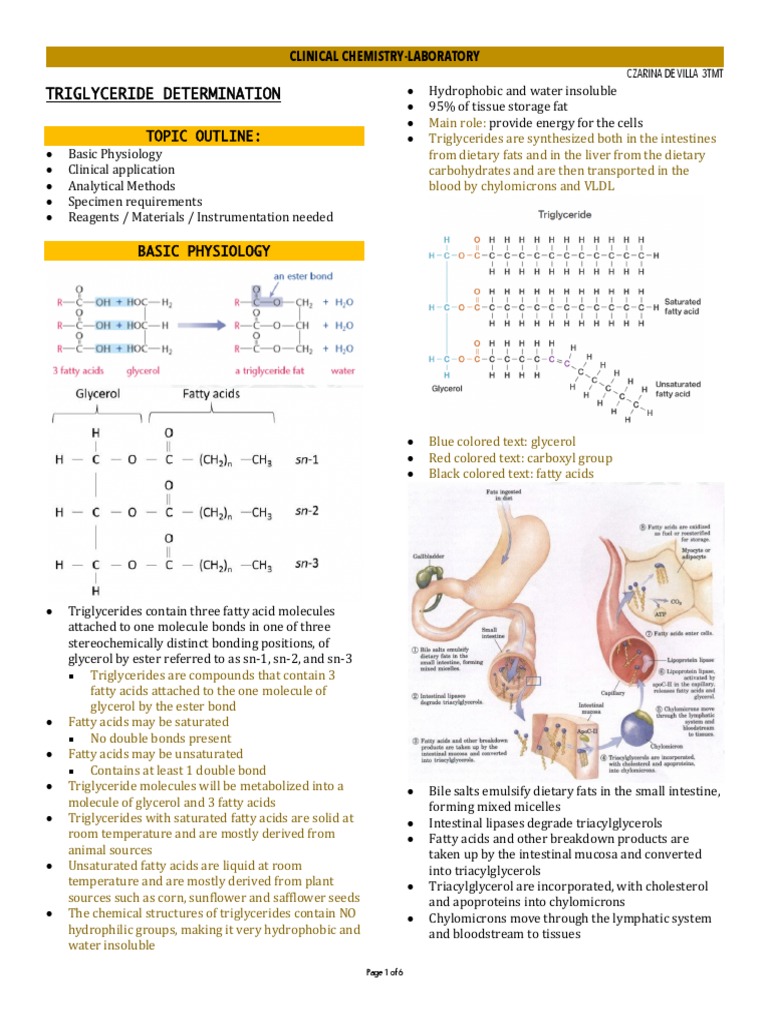 CC Lab - Triglyceride Determination | PDF | High Density Lipoprotein ...
