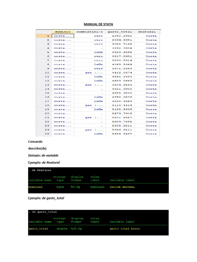 Manual de Stata | PDF