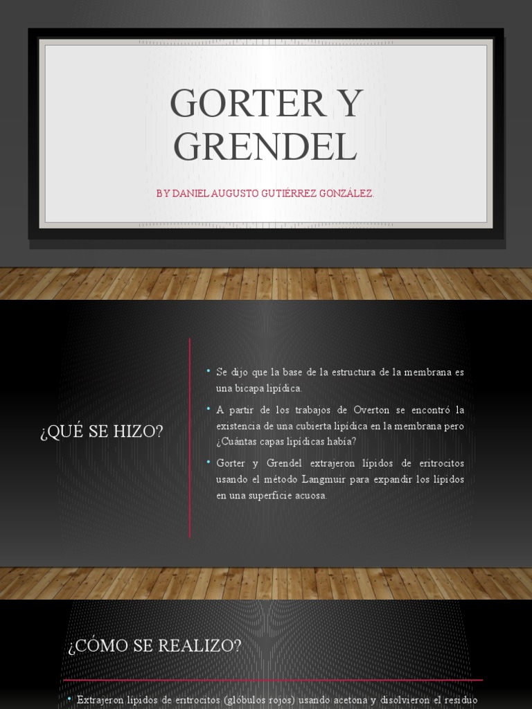 Gorter y Grendel Presentación | PDF