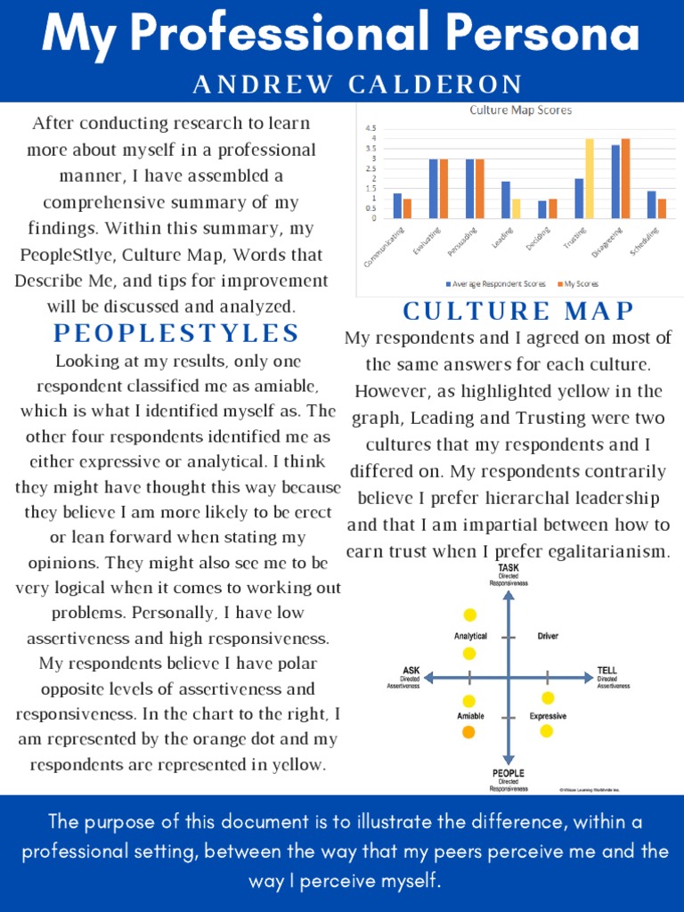 Professional Persona Executive Summary Draft 4 1 | PDF | Psychology ...