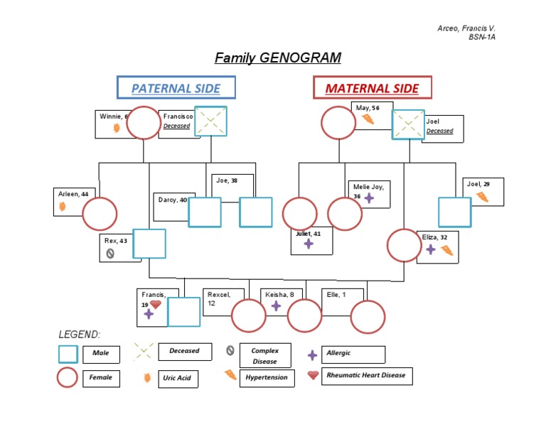 Paternal Side: Family GENOGRAM | PDF