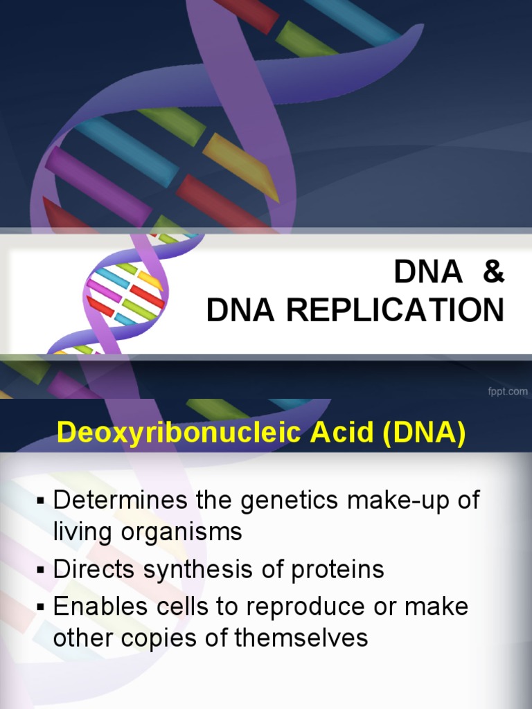 Dna Replication | PDF | Rna | Dna Replication