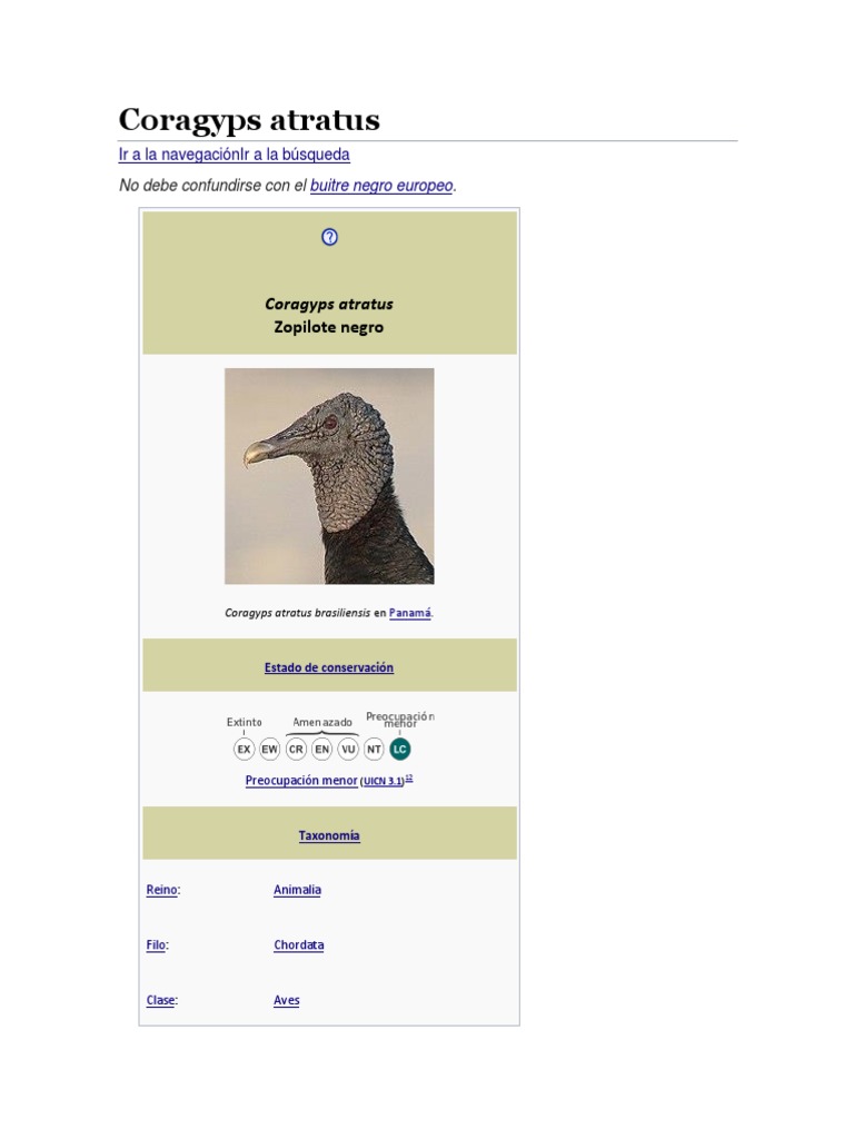 Coragyps Atratus | PDF | Aves | Aves de presa