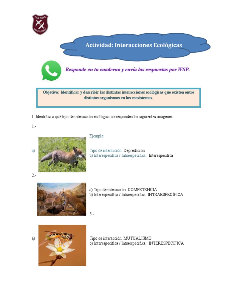 Tarea Interacciones Ecológicas | PDF | Ecología comunitaria | Organismos