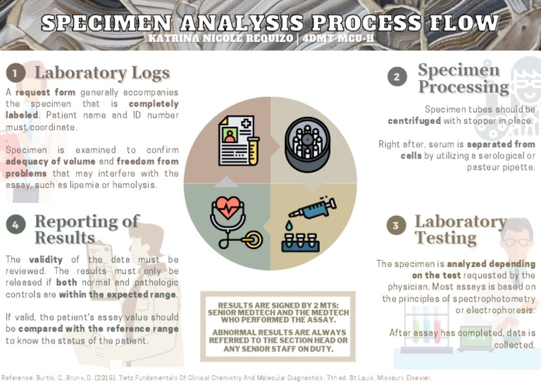 Specimen Analysis Process Flow: A Detailed Description of Laboratory ...