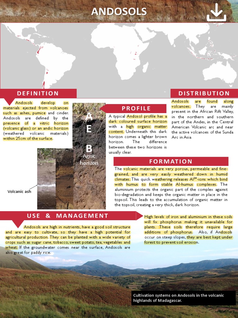 Andosols: Soils Developed from Volcanic Materials | PDF | Volcano | Soil