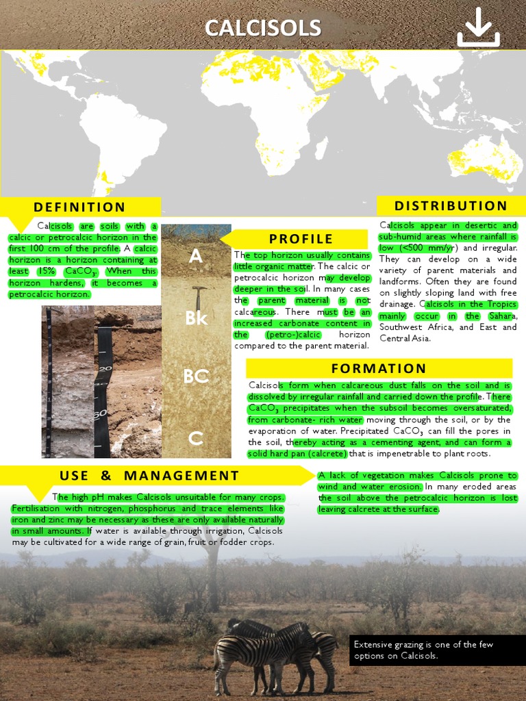 Calcisols - Soils with a calcic or petrocalcic horizon | PDF | Soil ...