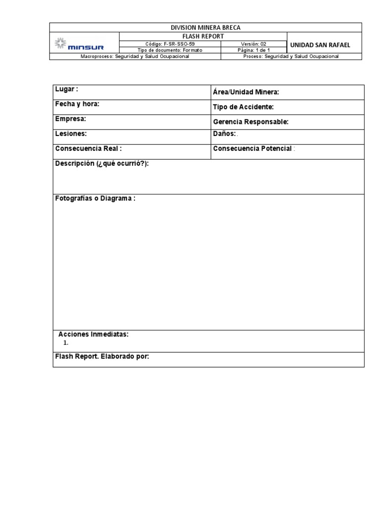 F-SR-SSO-59 Flash Report | PDF