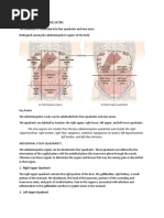 Abdominal Four Quadrants: Abdominal Nine Divisions (A) and Quadrant ...