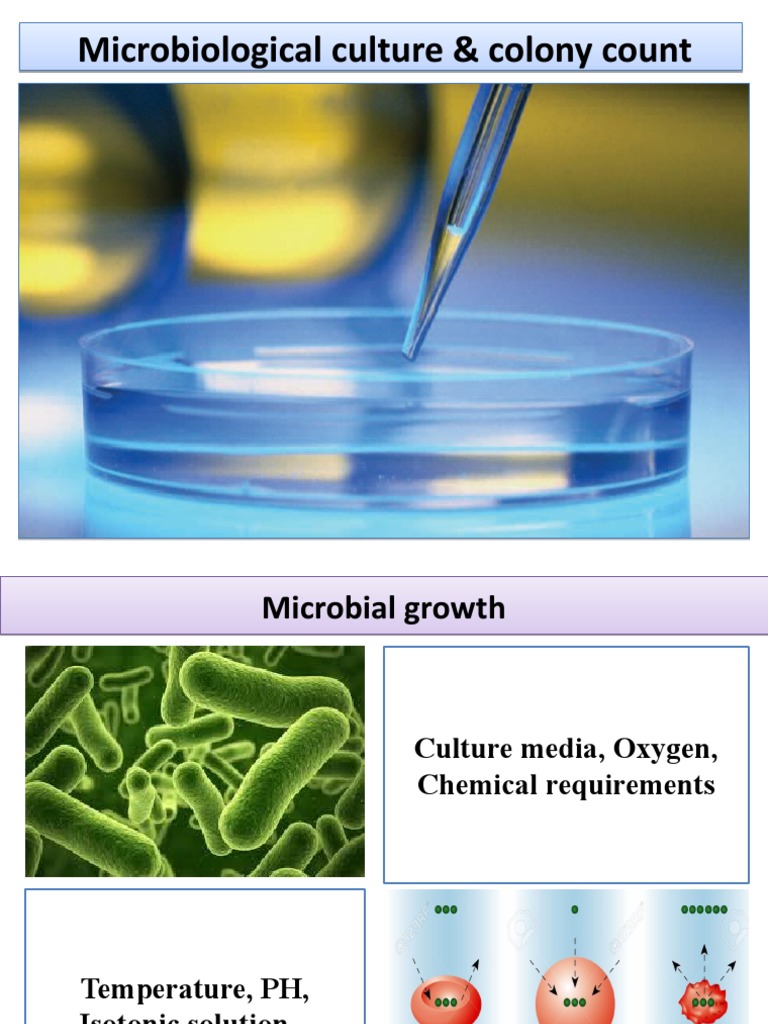 Microbiological Culture & Colony Count Microbiological Culture & Colony ...