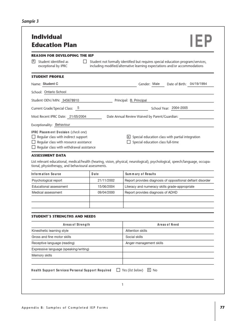 Individual Education Plan: Sample 3 | PDF | Individualized Education ...