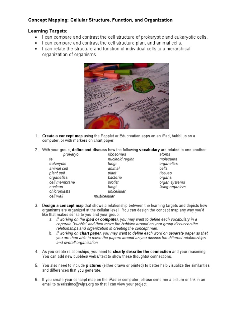 Concept Mapping: Cellular Structure, Function, and Organization ...