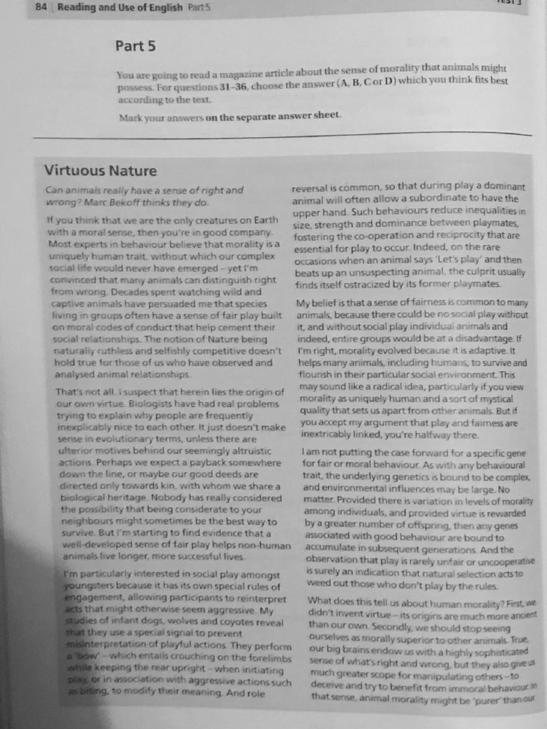 Cae Advanced Testbuilder - Reading Test 3 | PDF