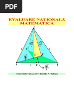Model Scutire de Mana | PDF