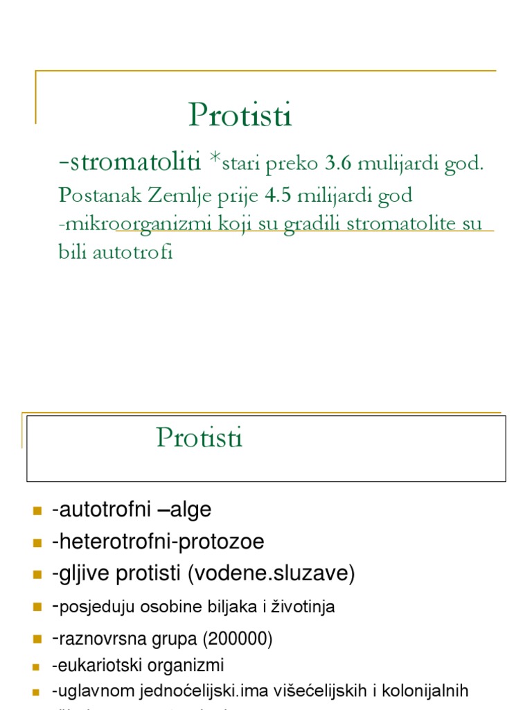 Protisti | PDF