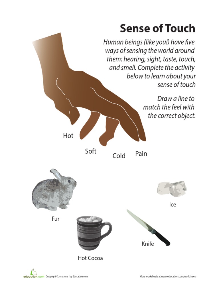 5 Senses Touch Matching PDF | PDF