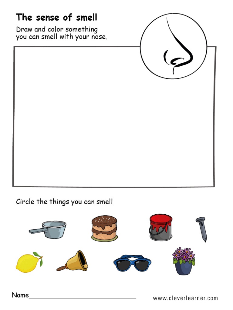 The Sense of Smell Preschool Worksheet PDF | PDF