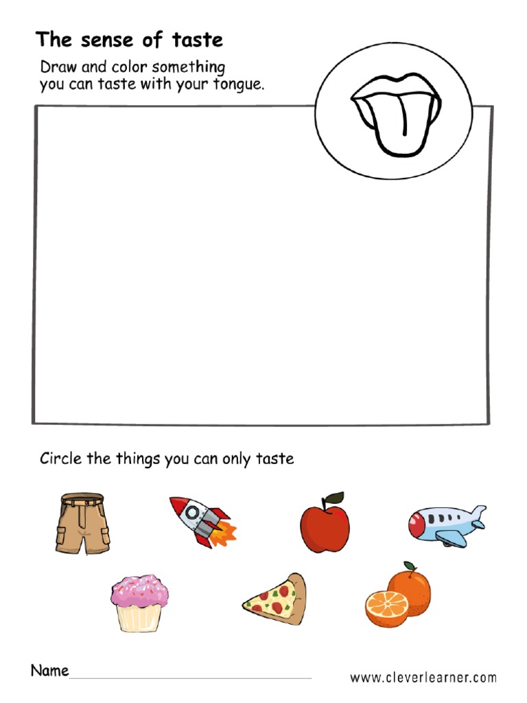 The Sense of Taste Preschool Activity | PDF