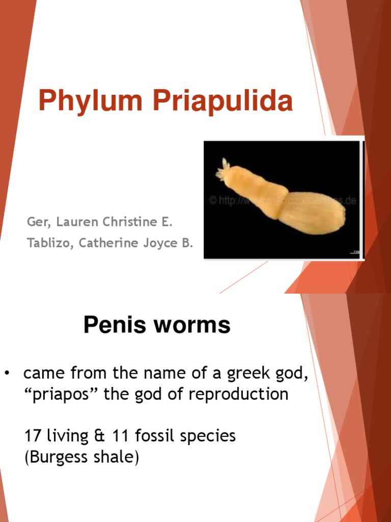 Phylum Priapulida: Ger, Lauren Christine E. Tablizo, Catherine Joyce B ...