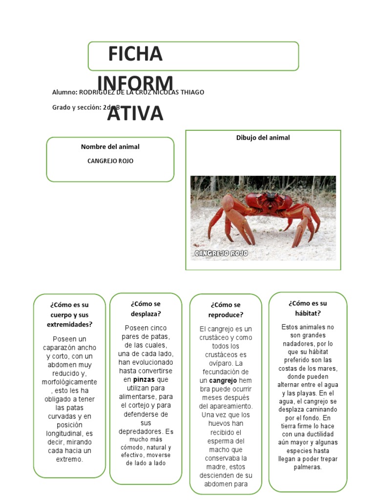 Ficha Informativa | PDF | Organismos | Naturaleza