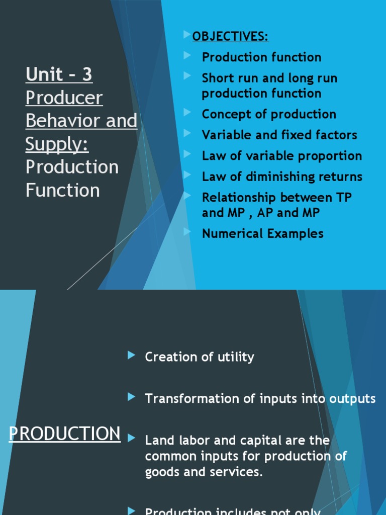 Production N | PDF | Production Function | Labour Economics