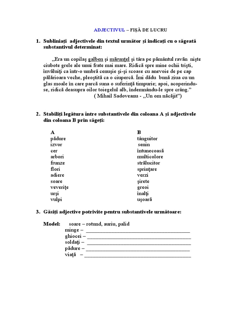 Adjectivul | PDF
