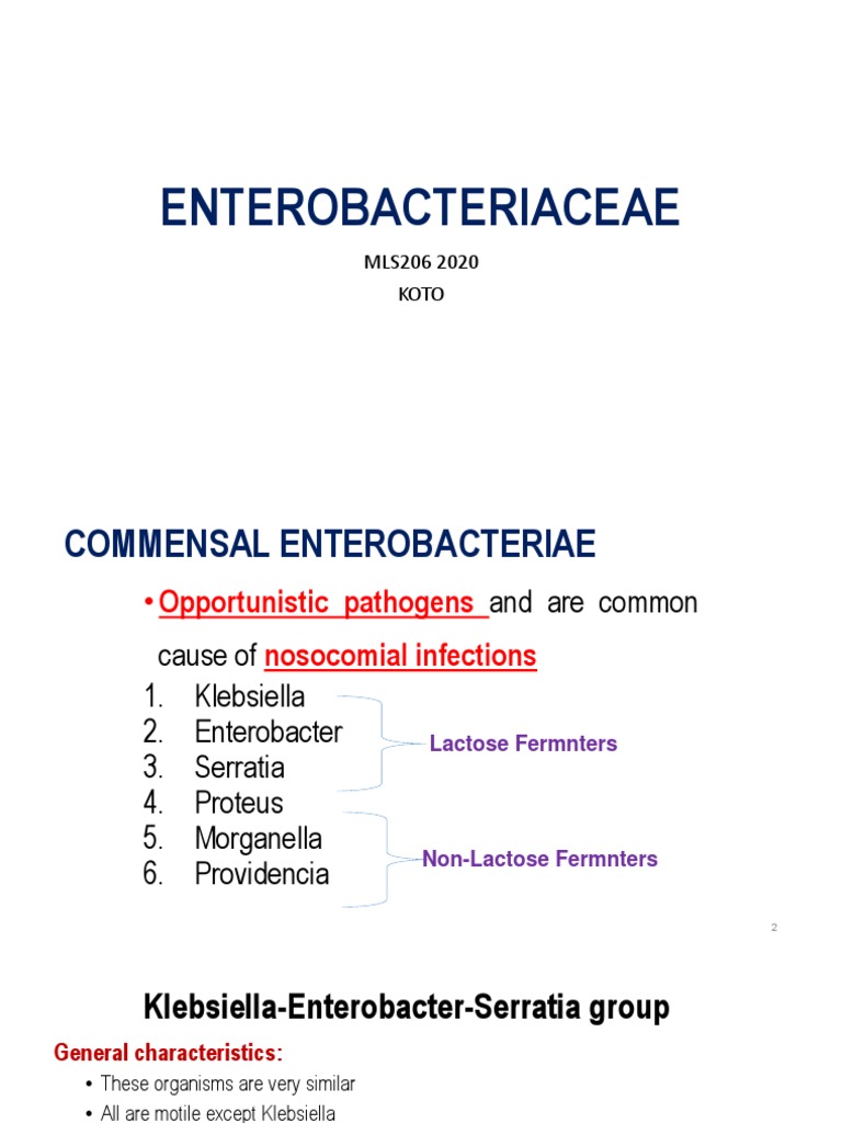 ENTEROBACTERIACEAE | PDF | Cholera | Infection