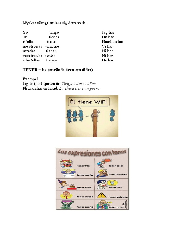 El Verbo Tener. | PDF | Artes del Lenguaje y Comunicación | Estudios de ...