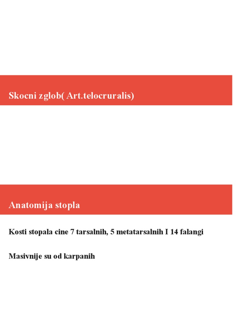 Skocni Zglob | PDF