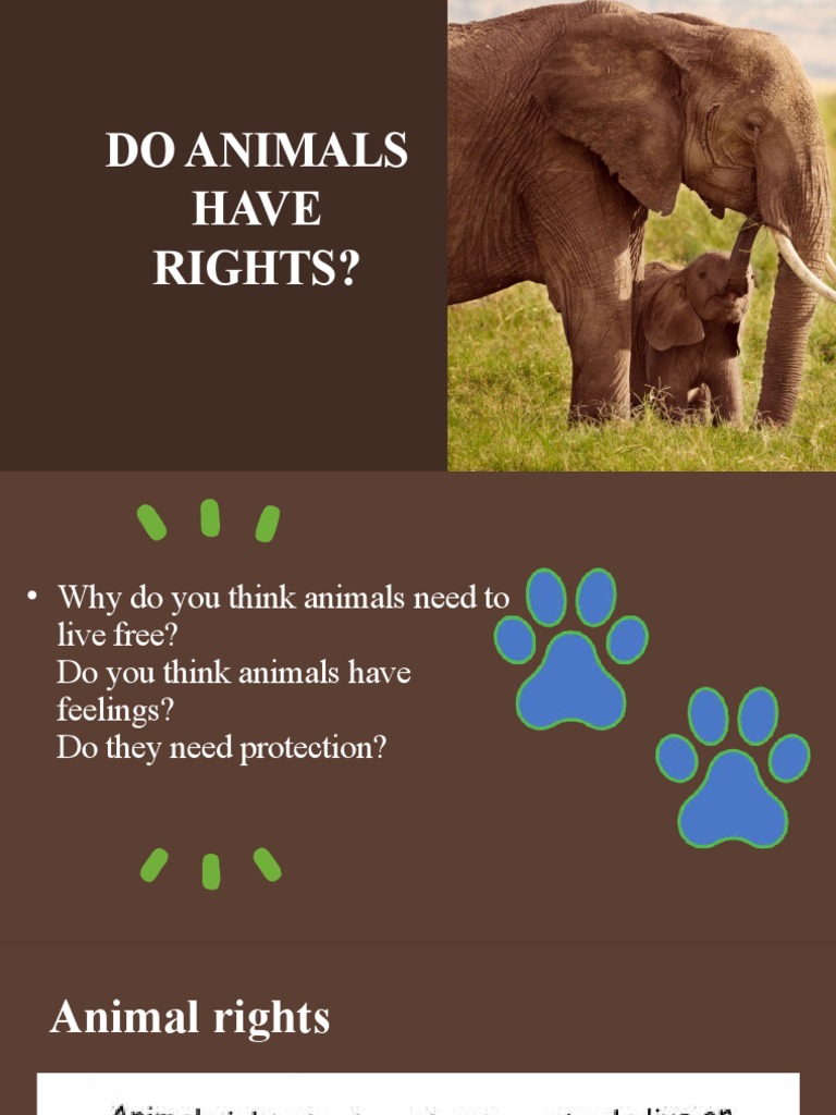Do Animals Have Rights | PDF