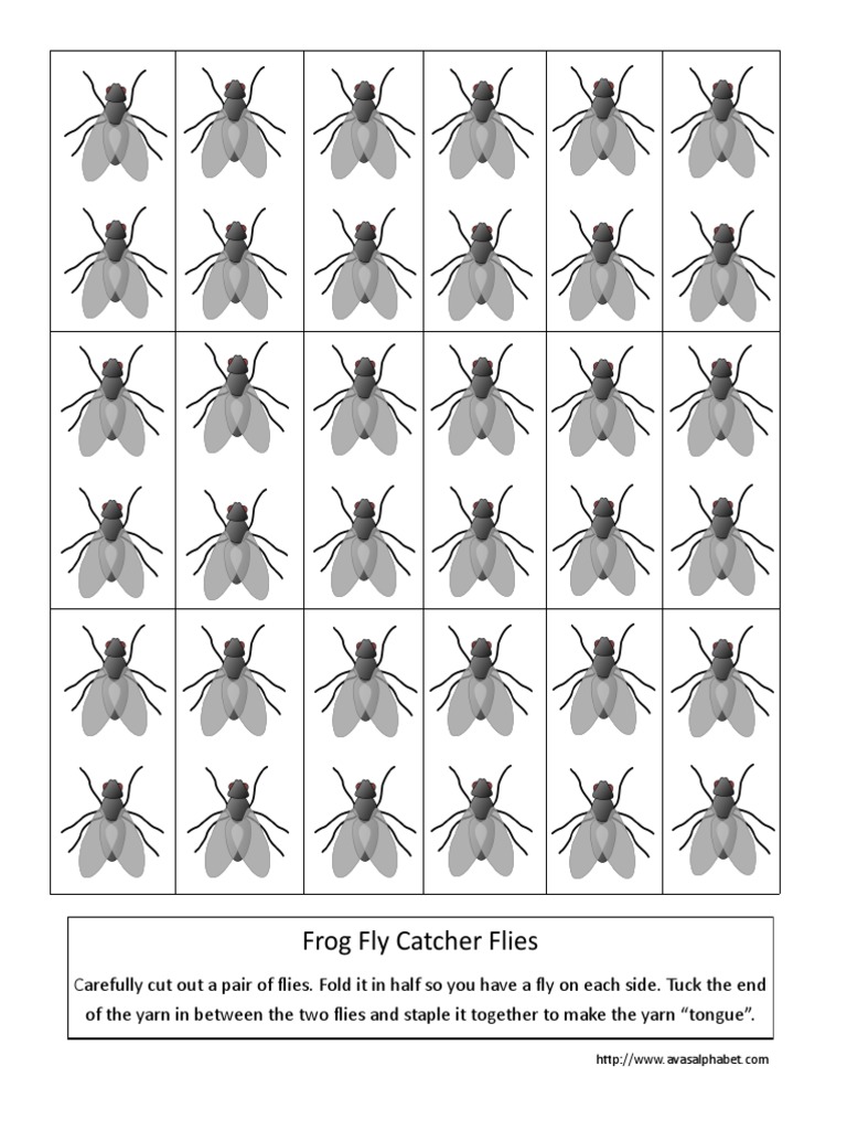 Flies | PDF