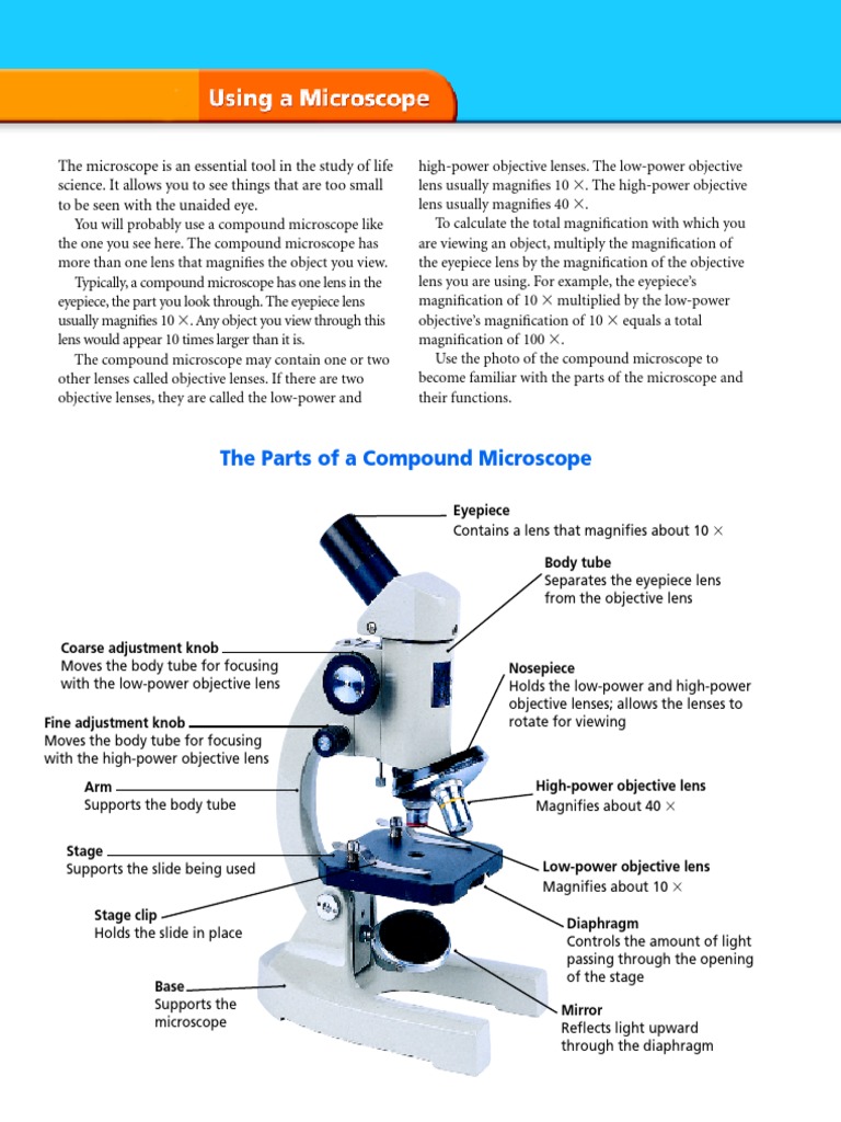Appendix B Using A Microscope PDF | PDF | Atomic | Equipment