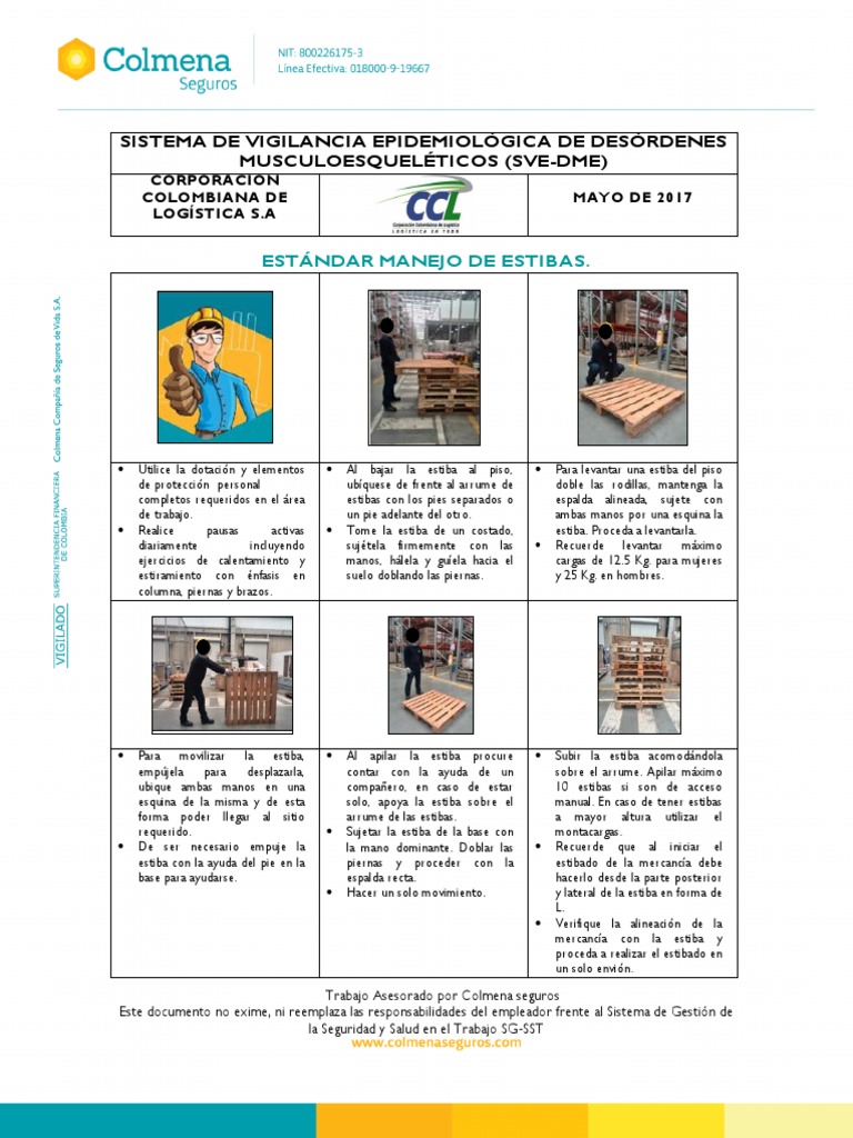 12 Estándar Manejo Estibas PDF | PDF