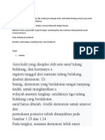 Peta Dermatome dan Inervasi Saraf | PDF