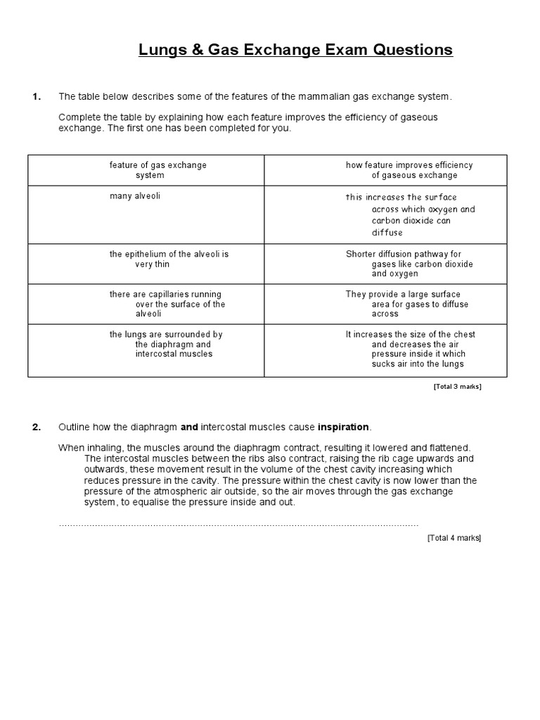 Lungs & Gas Exchange Exam Questions: (Total 3 Marks) | PDF | Lung ...