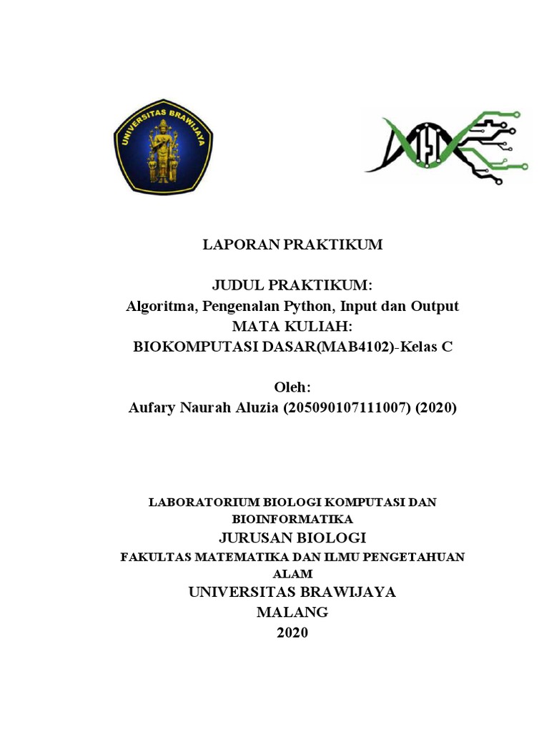 Algoritma Pengenalan Python Input Dan Output | PDF