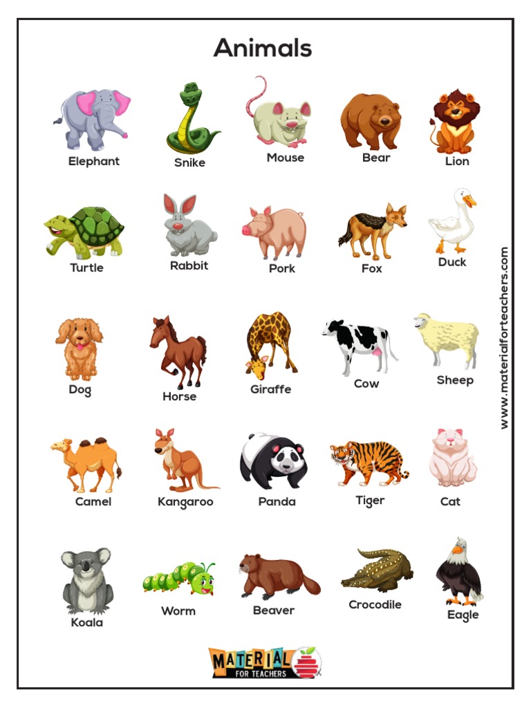 Animals Exercise | PDF