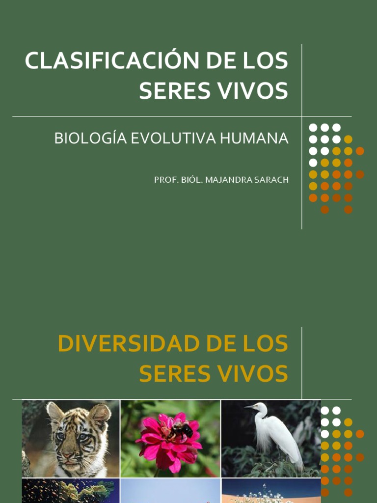 Clasificación de Los Seres Vivos | PDF | Plantas | Eucariotas