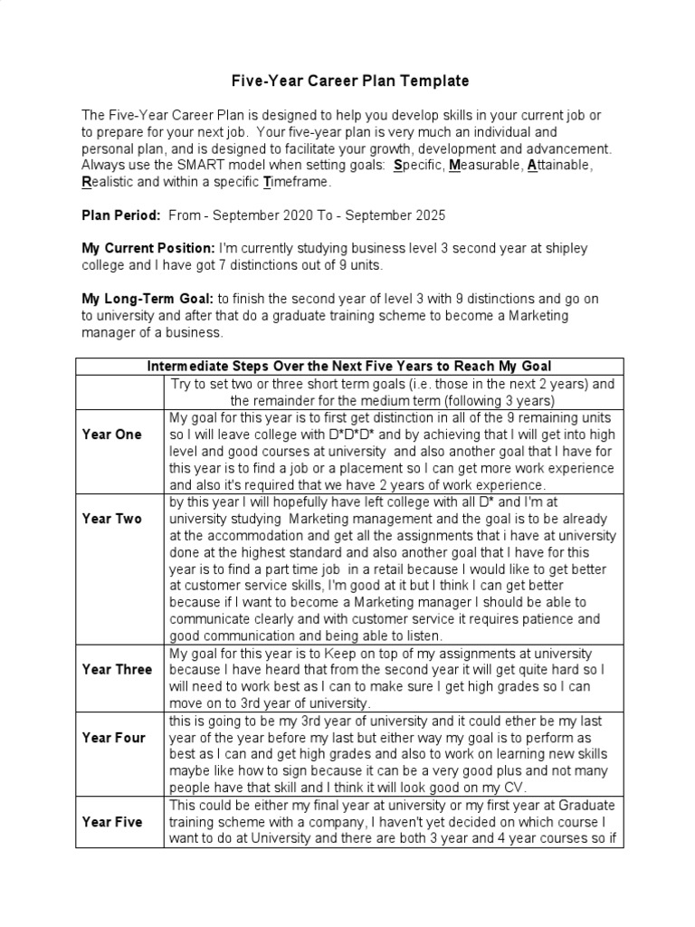 Five Year Plan PDF Goal Marketing