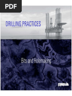 Dull Grading Chart | PDF | Tooth | Geotechnical Engineering