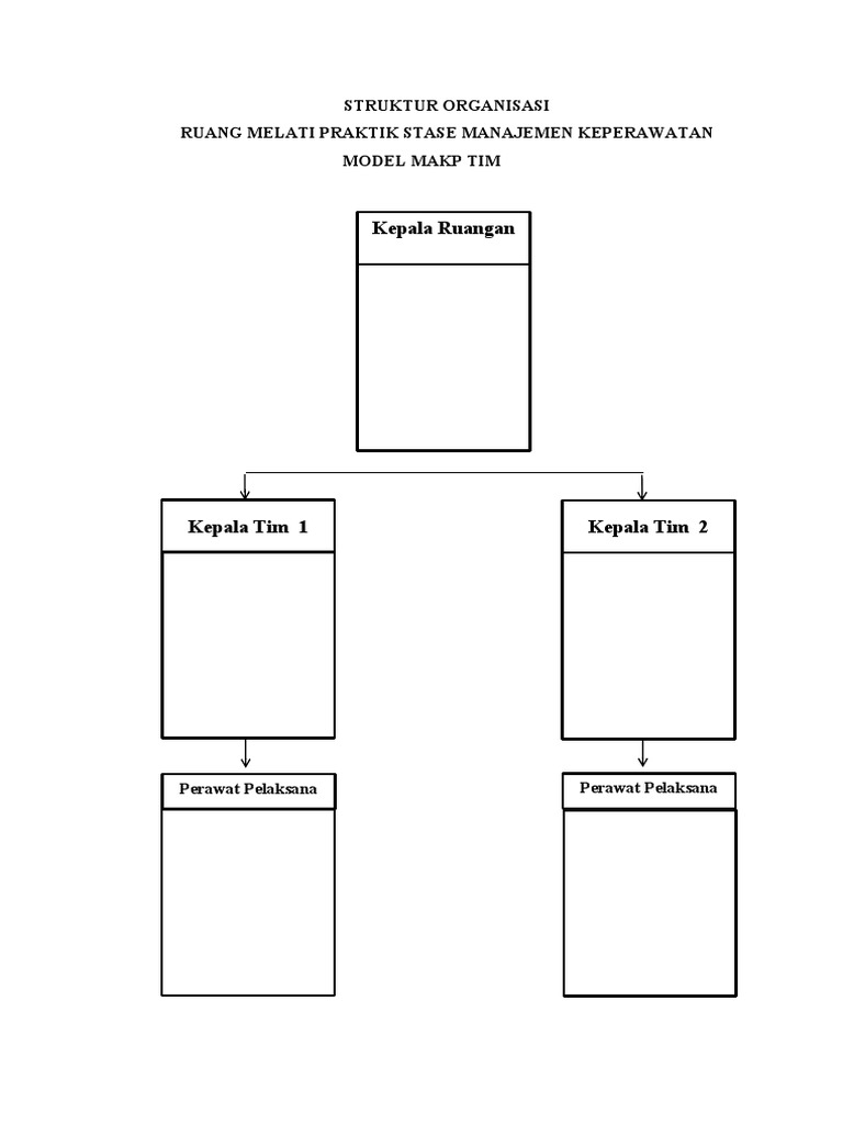Struktur Organisasi Makp Tim | PDF