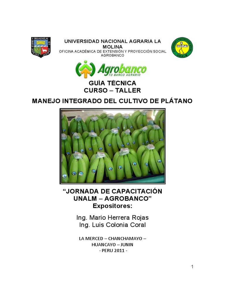 Manejo Integrado Del Cultivo de Platano | PDF | Fertilizante | Plátano