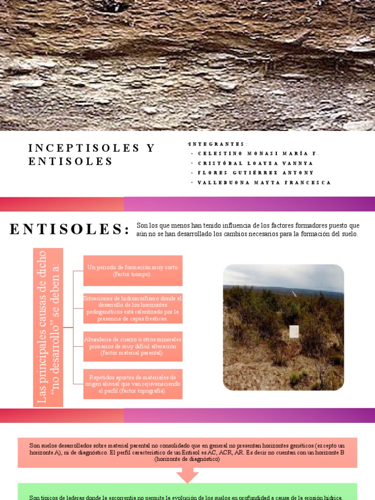 ENTISOLES | PDF | Suelo | Earth Sciences
