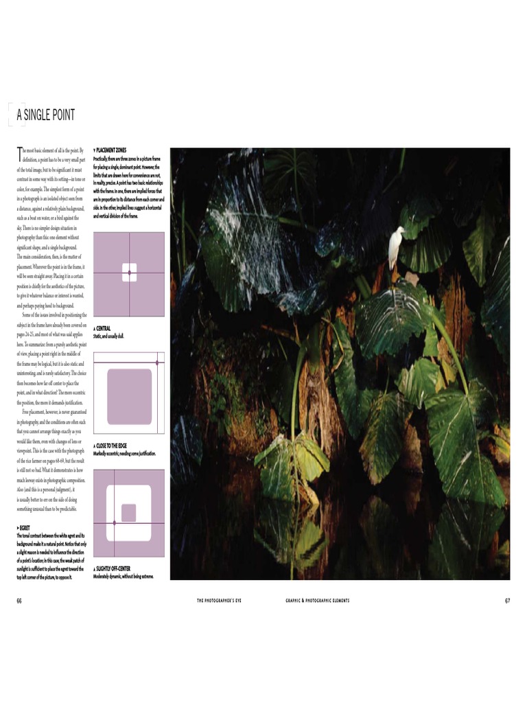 Placement of a Single Point: Guidelines for Positioning a Dominant ...