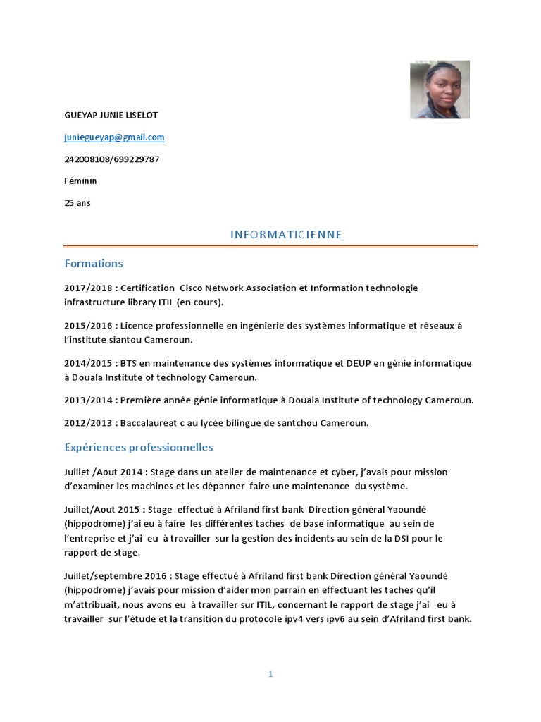 CV mj-1 PDF | PDF | Informatique | Itil