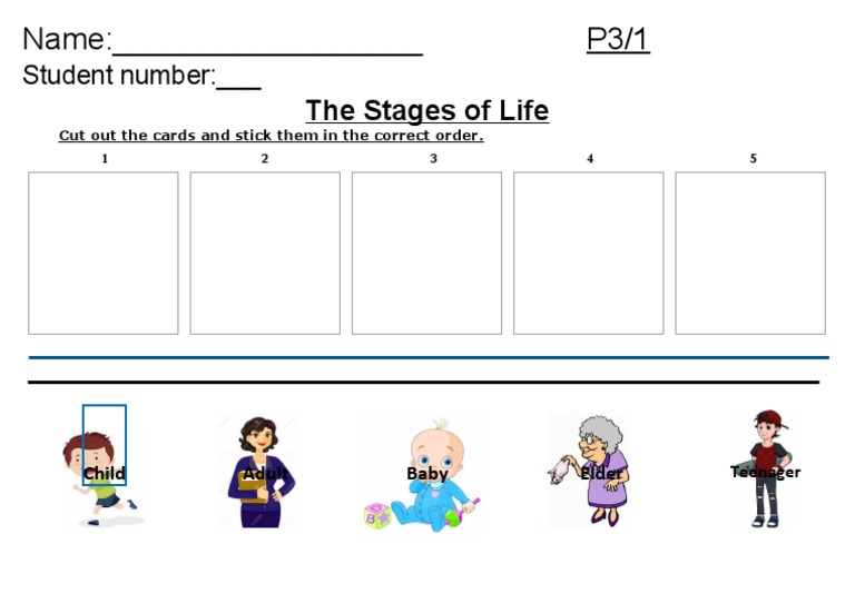 Name: - P3/1: The Stages of Life | PDF | Language Arts & Discipline ...